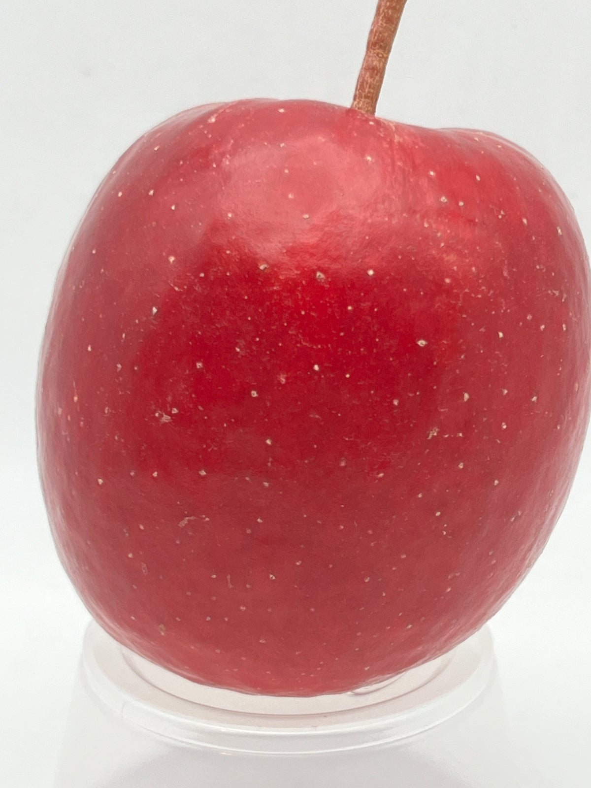 Story® Inored Apple Tree — Roots to Fruits Nursery