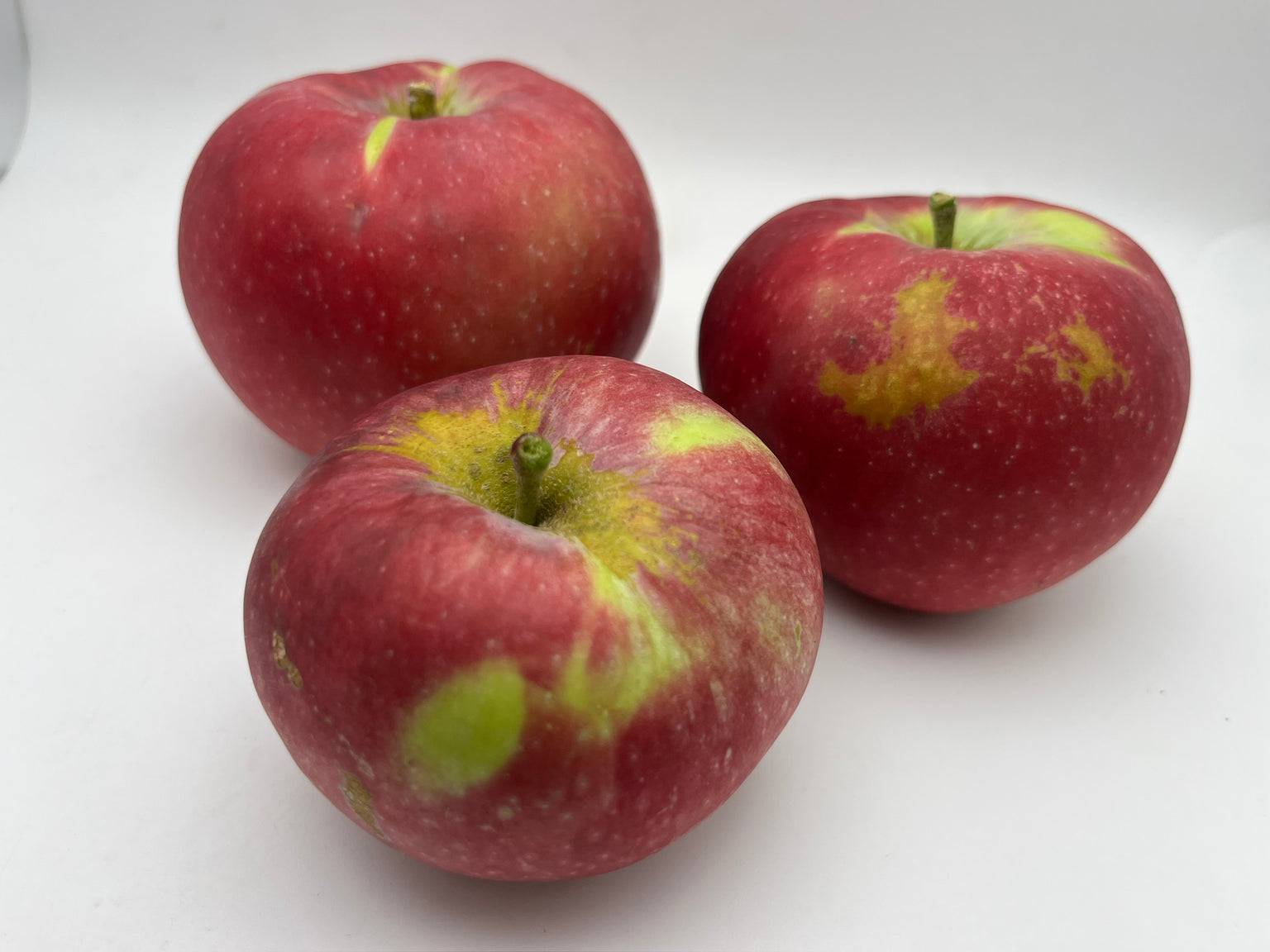 Scionwood — Roots to Fruits Nursery