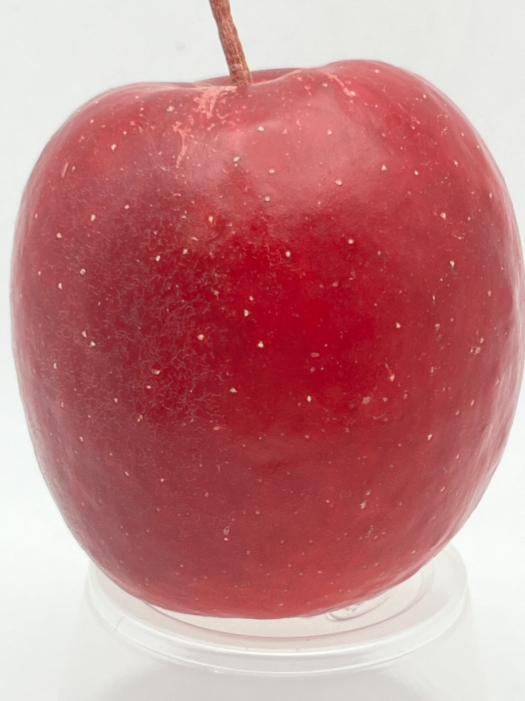 Story® Inored Apple Tree — Roots to Fruits Nursery