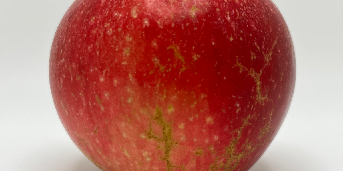 Kickapoo Spice Apple Tree — Roots to Fruits Nursery