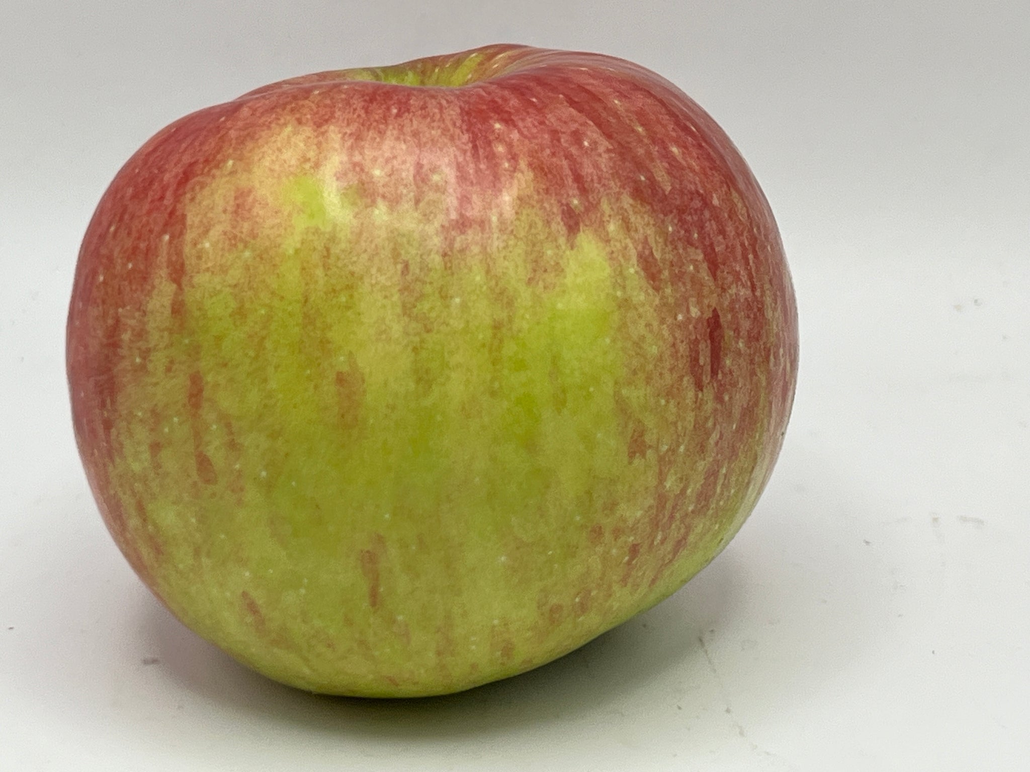 Apple Trees — Roots to Fruits Nursery