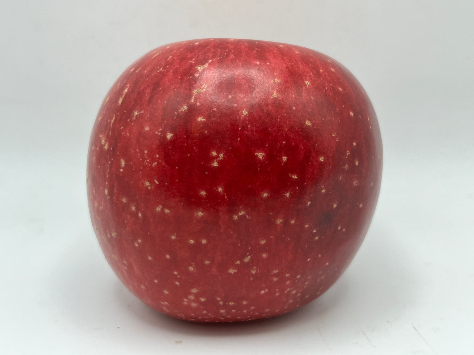 Scionwood — Roots to Fruits Nursery