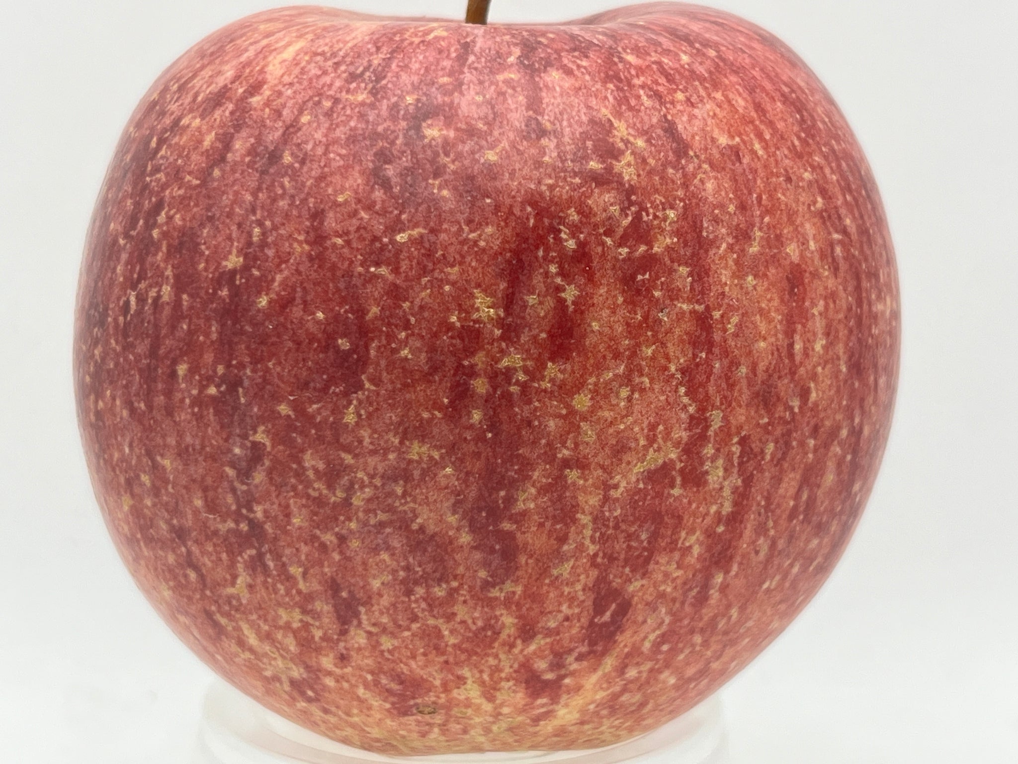 Apple Trees — Roots to Fruits Nursery