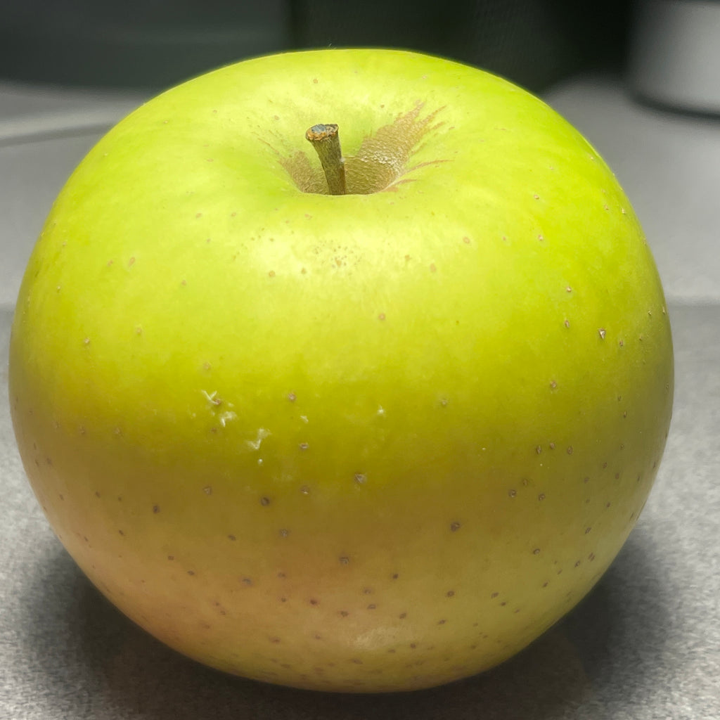 Modern Apples — Roots to Fruits Nursery