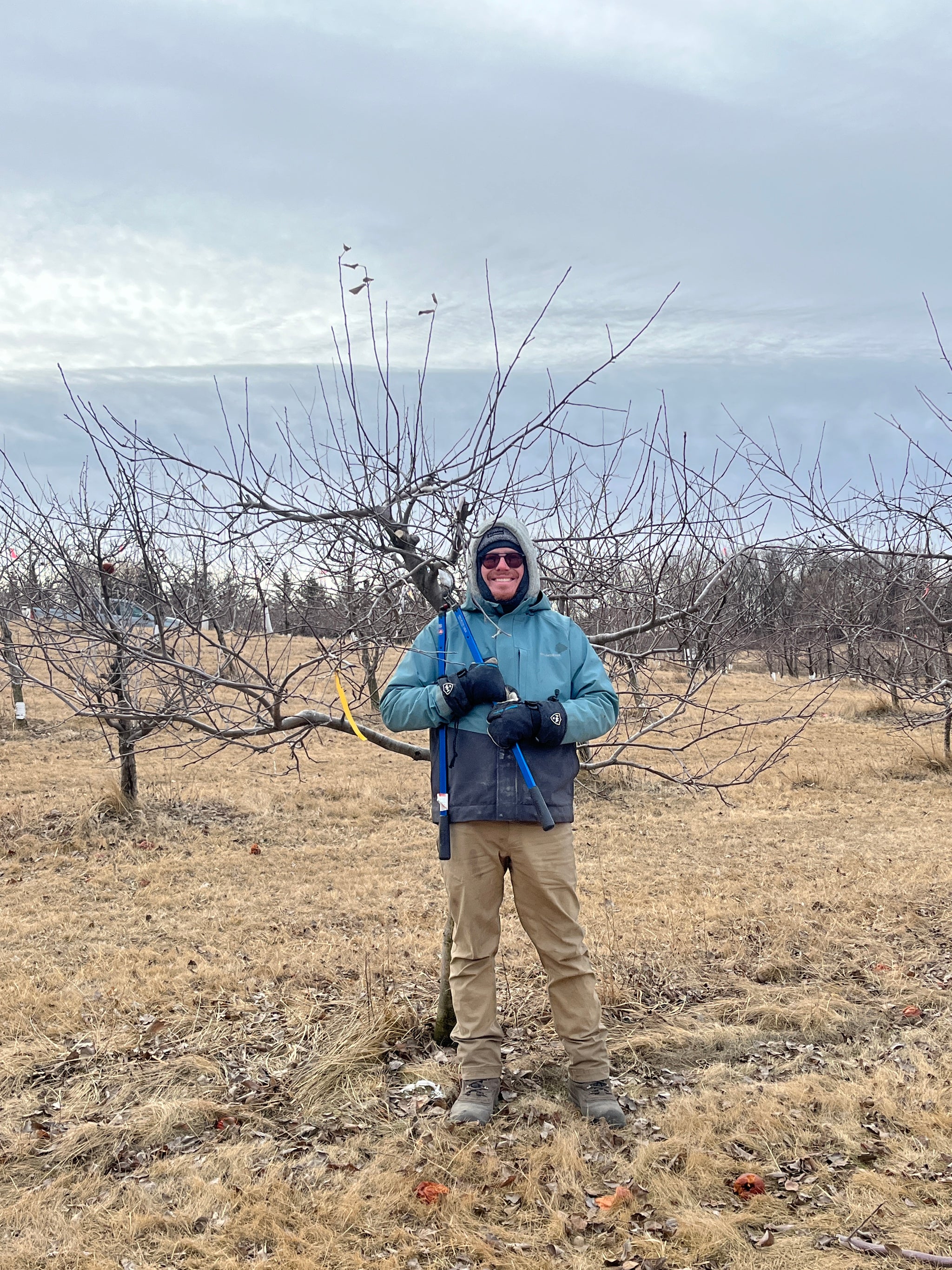 Roots to Fruits Nursery - Rooted in Your Harvest