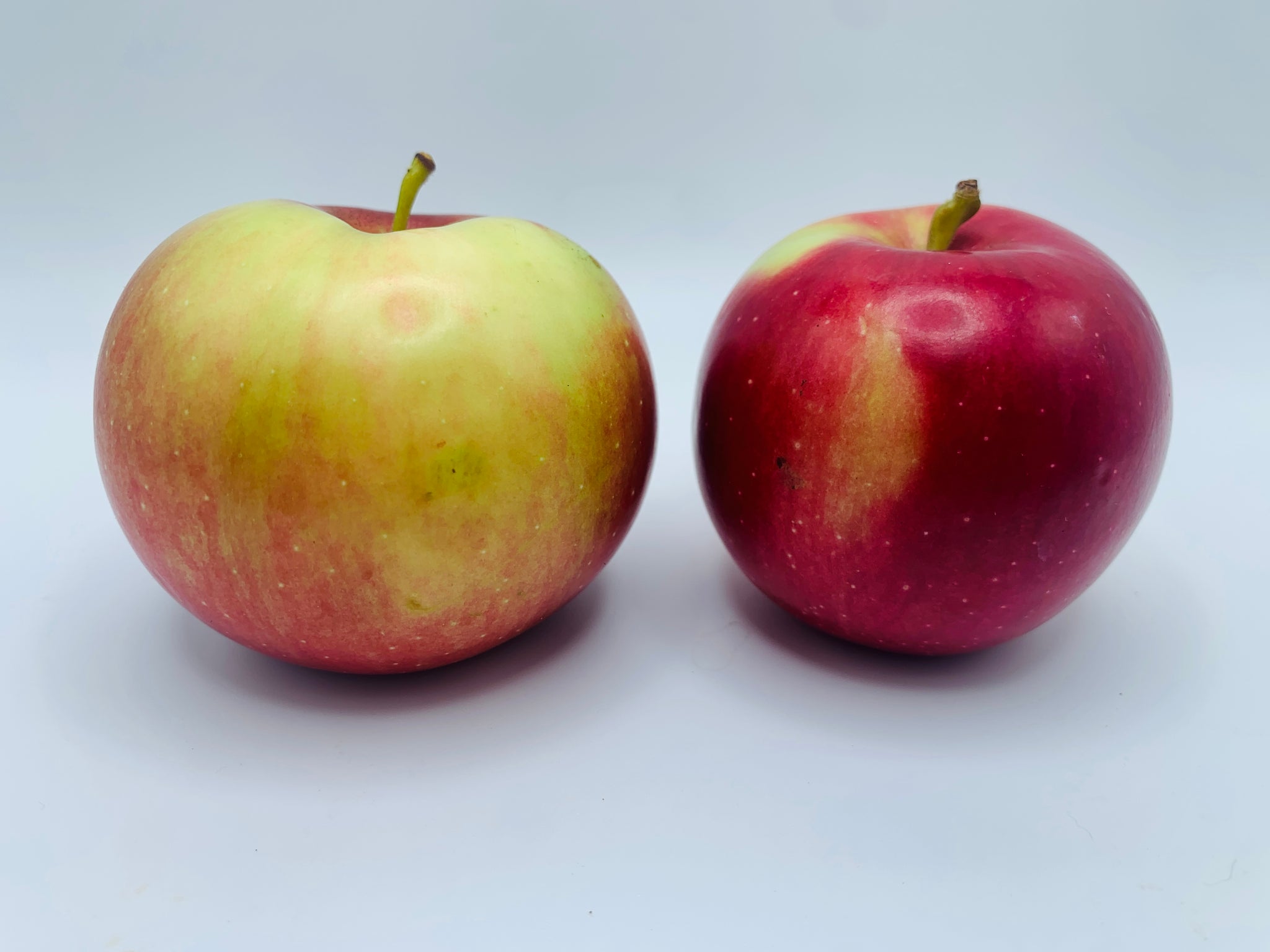 Sweet Cherry Trees — Roots to Fruits Nursery