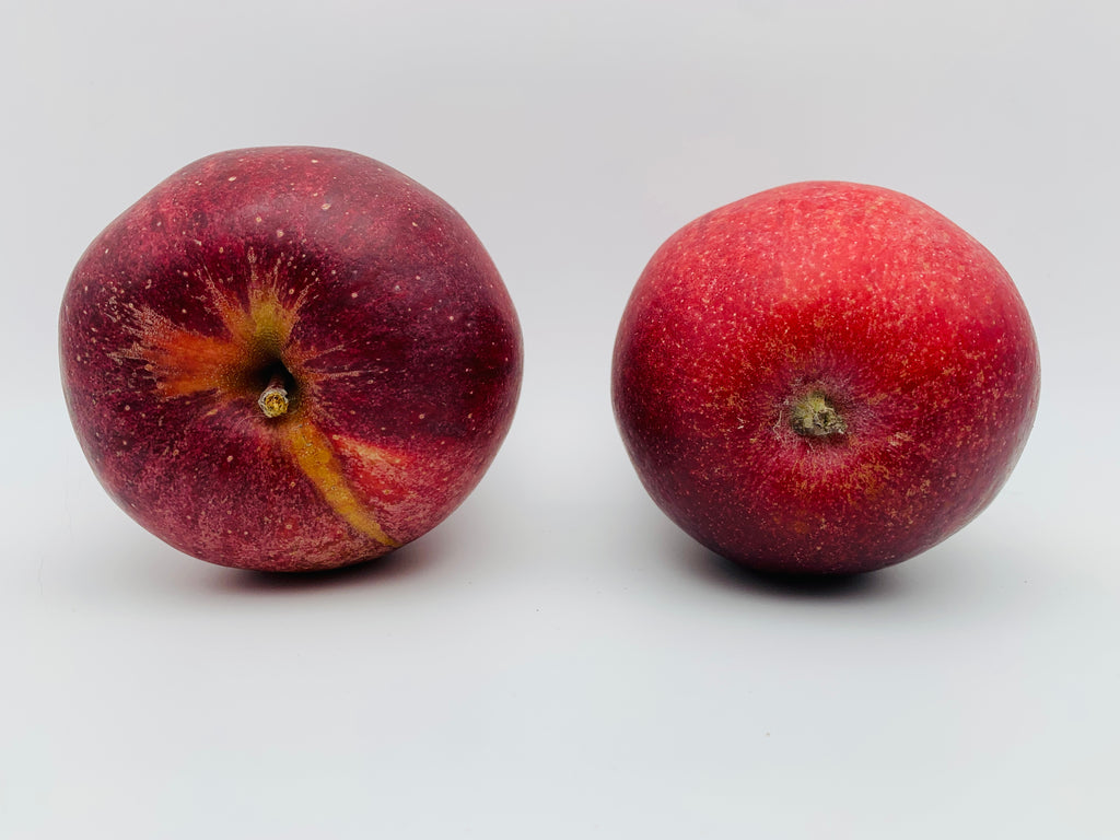 Scion Wood — Roots to Fruits Nursery