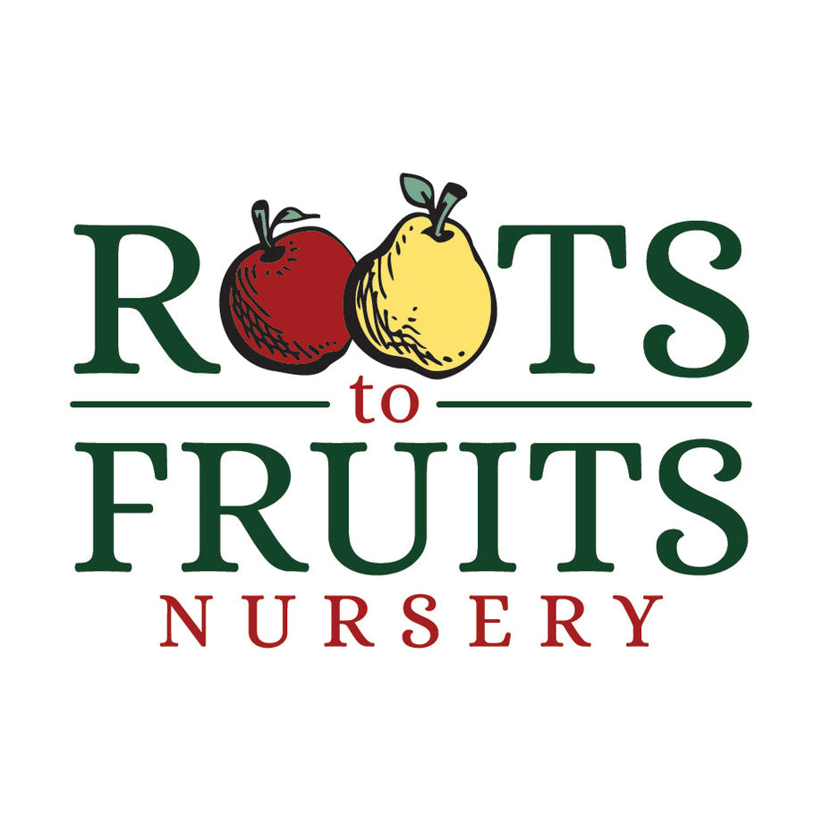 Roots to Fruits Nursery