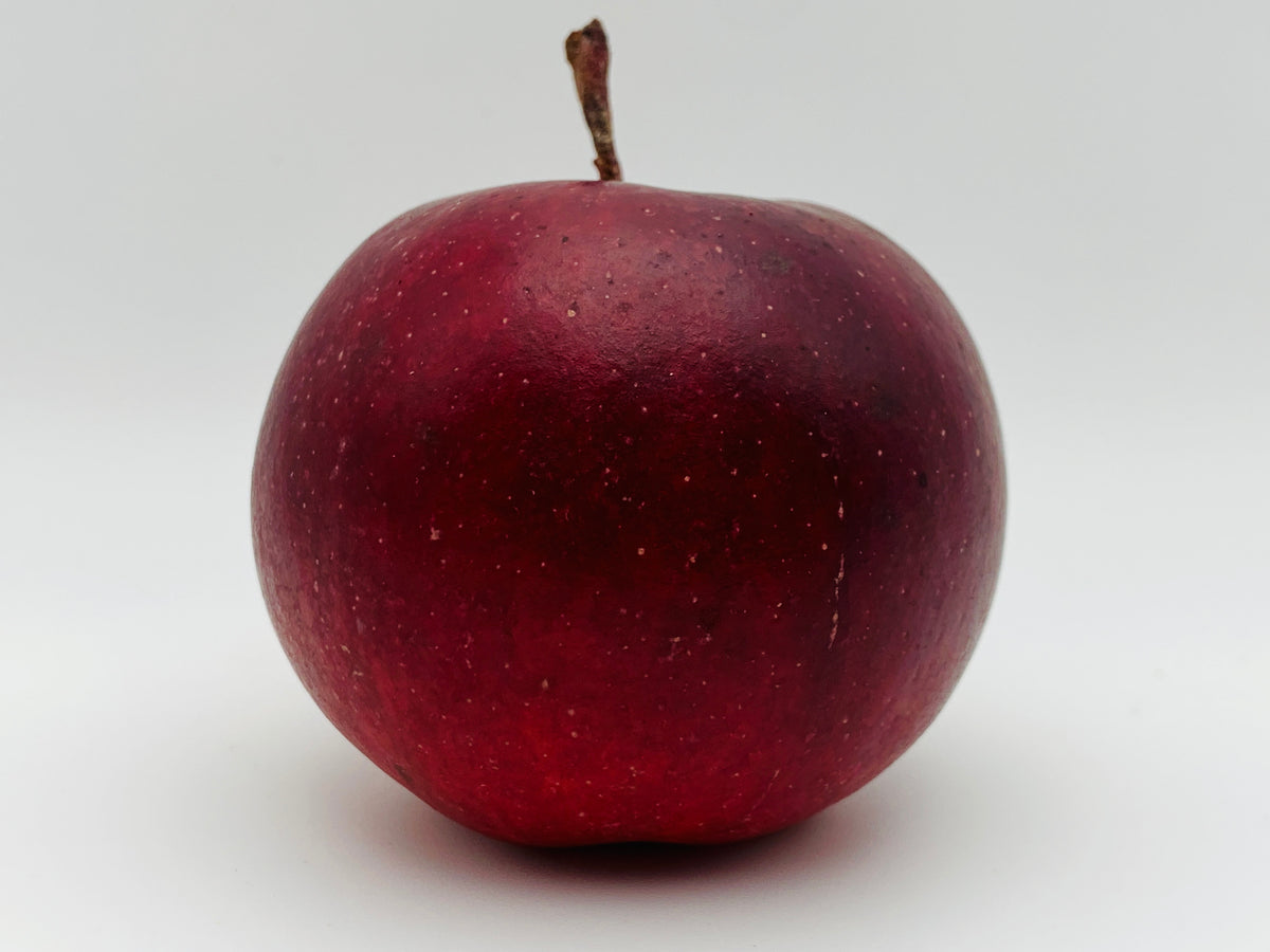 Stoke Red Apple Tree — Roots to Fruits Nursery