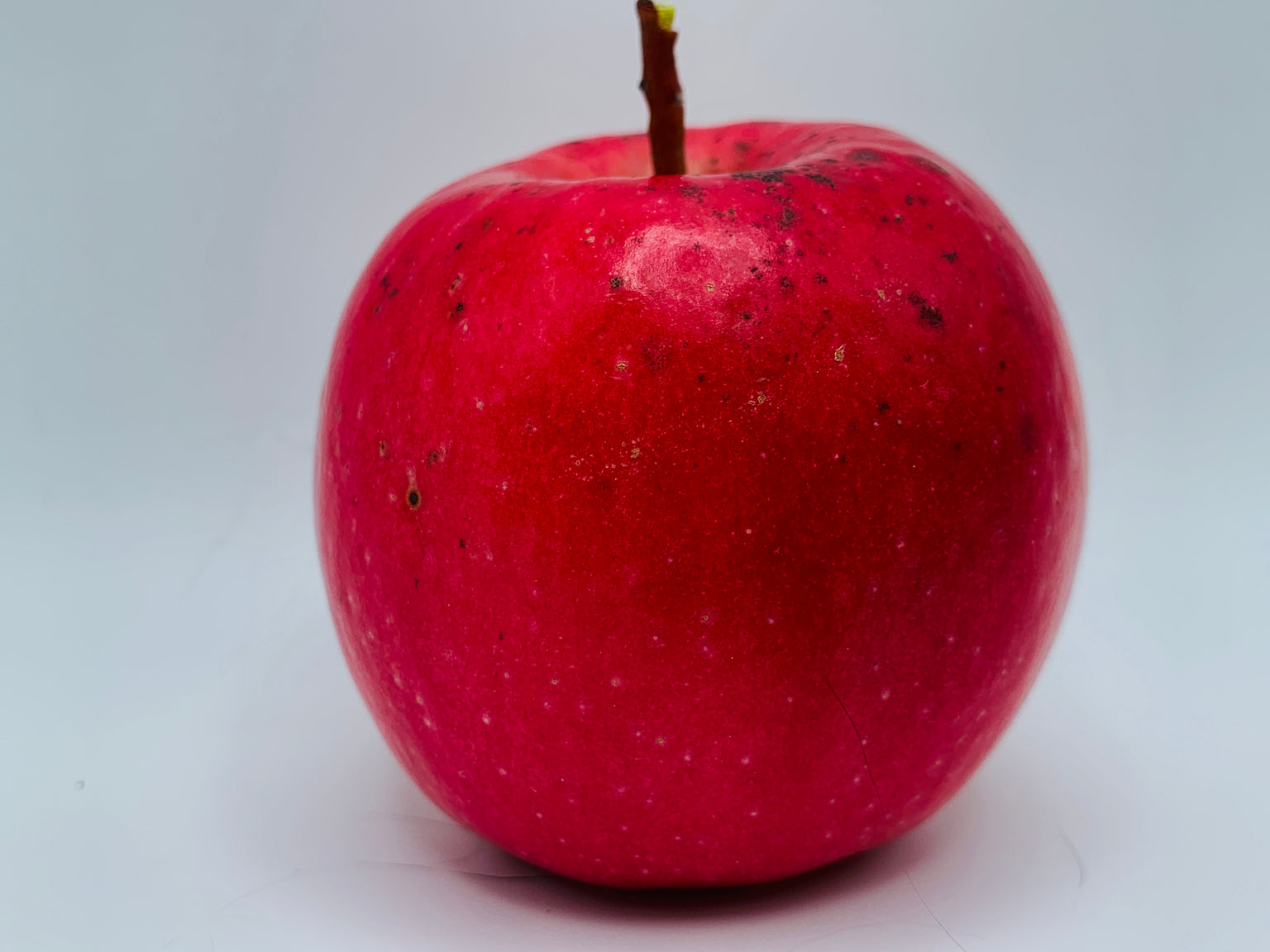 Roots to Fruits Nursery | Fruit Trees