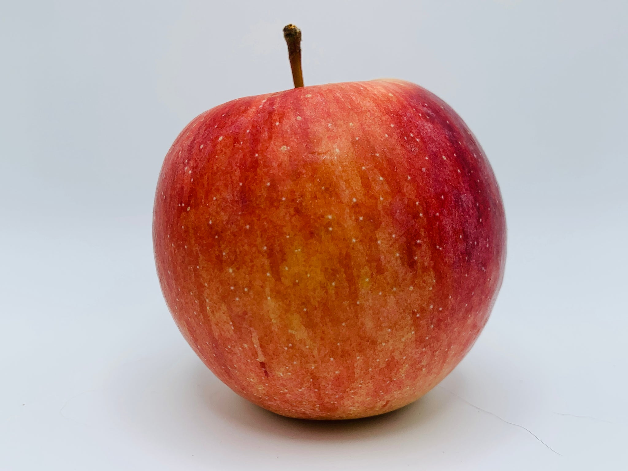 Apple Trees — Roots to Fruits Nursery
