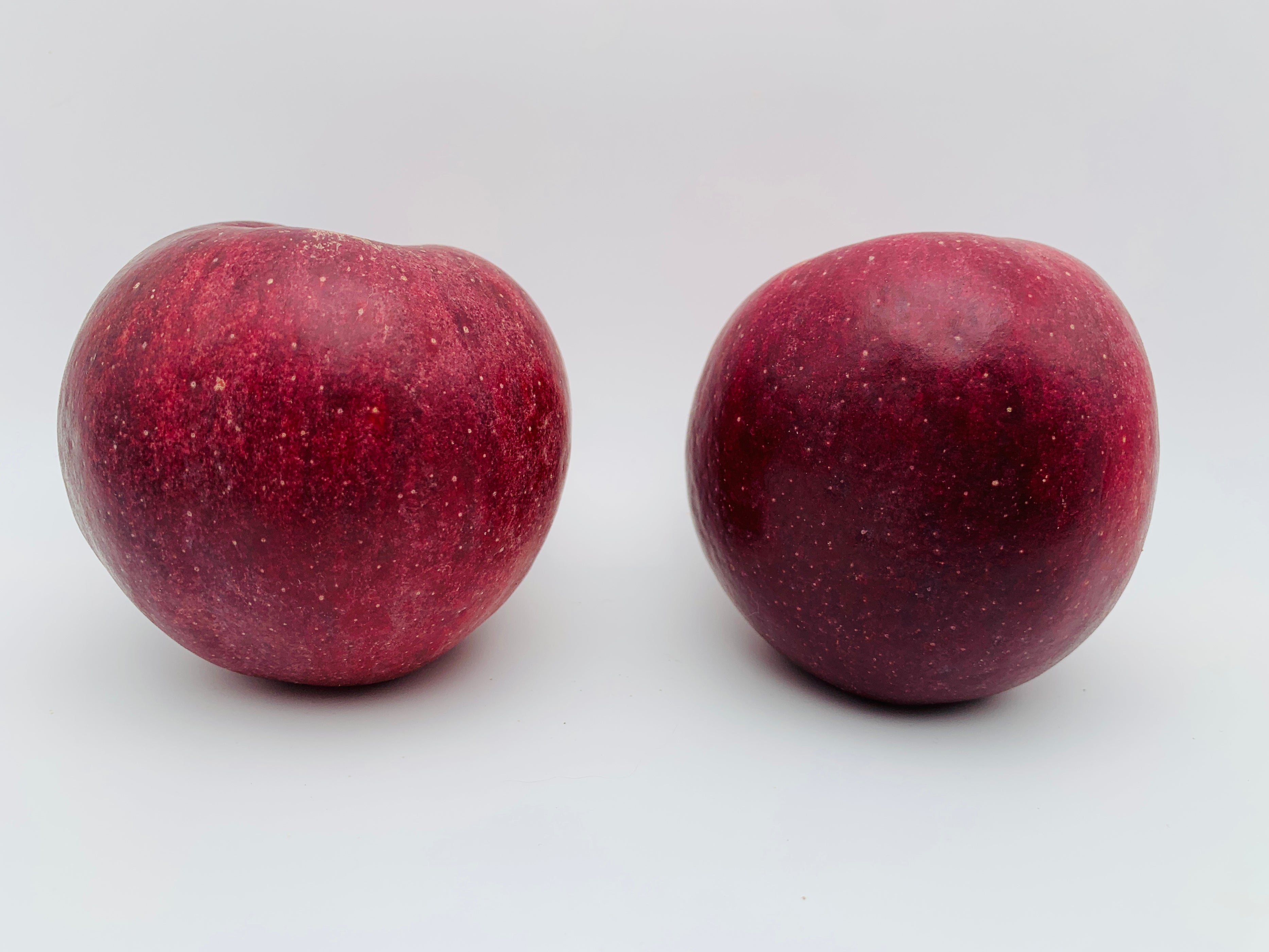 Winecrisp Apple — Roots to Fruits Nursery