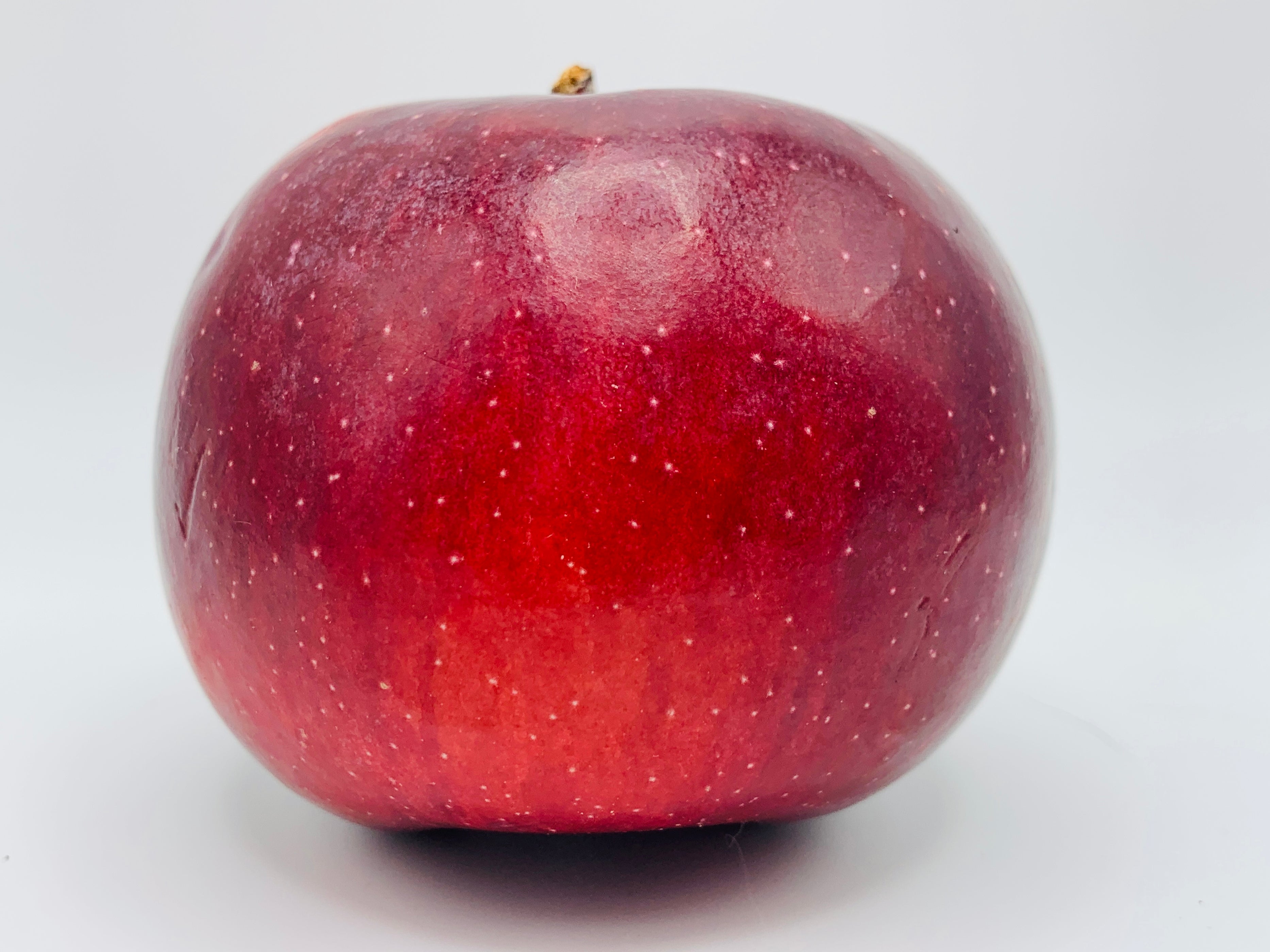 Royal Empire Apple Tree — Roots to Fruits Nursery