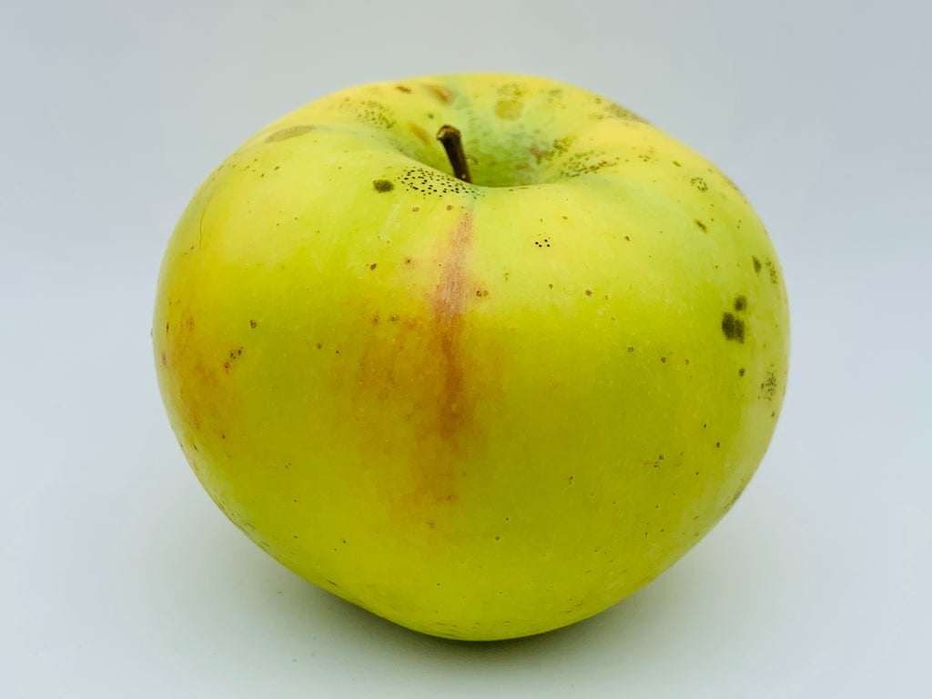 Cider Apple Trees — Roots to Fruits Nursery