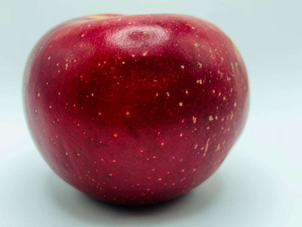 Heirloom Apples — Roots to Fruits Nursery